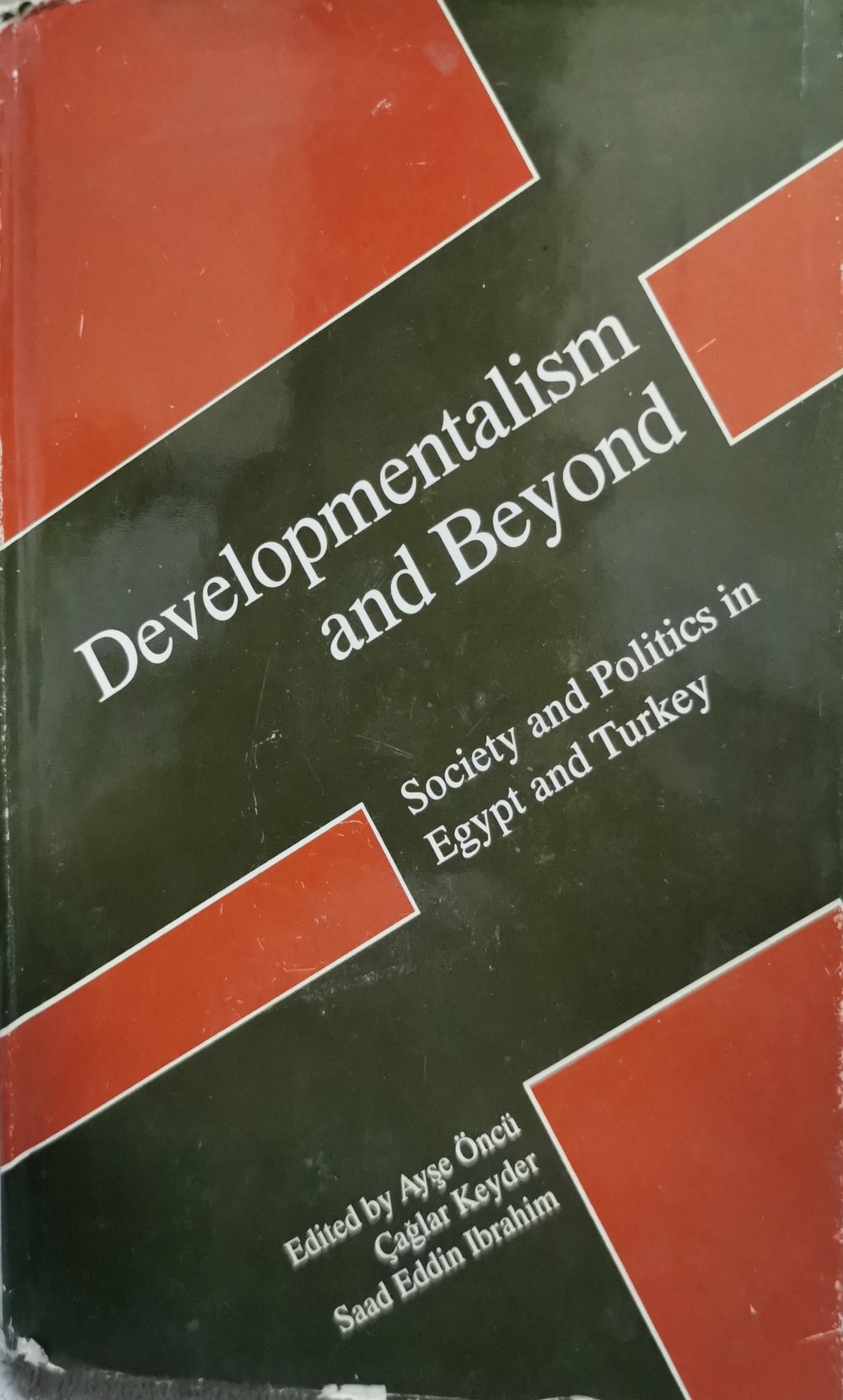 Developmentalism and Beyond: Society and Politics in Egypt and Turkey ...